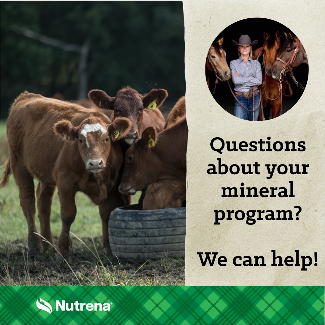 BIG R STORES - COLORADO SPRINGS SOUTH - Colorado Springs CO - Hours ...