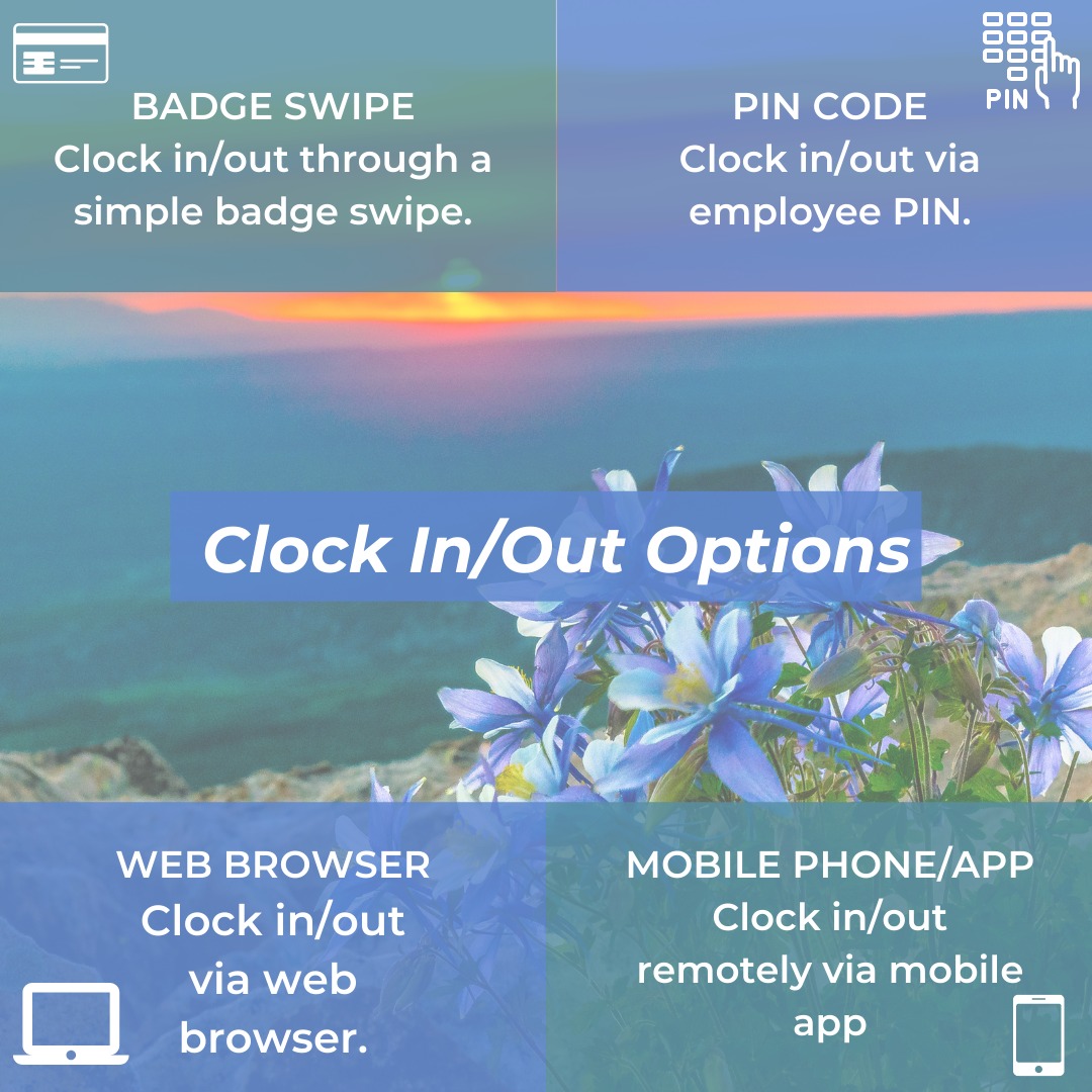 THE PAYROLL DEPARTMENT, INC. - Durango CO - Hours, Directions, Reviews ...