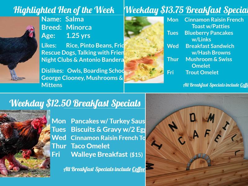 Windmill Cafe, Savage - Menu, Reviews (331), Photos (40) - Restaurantji