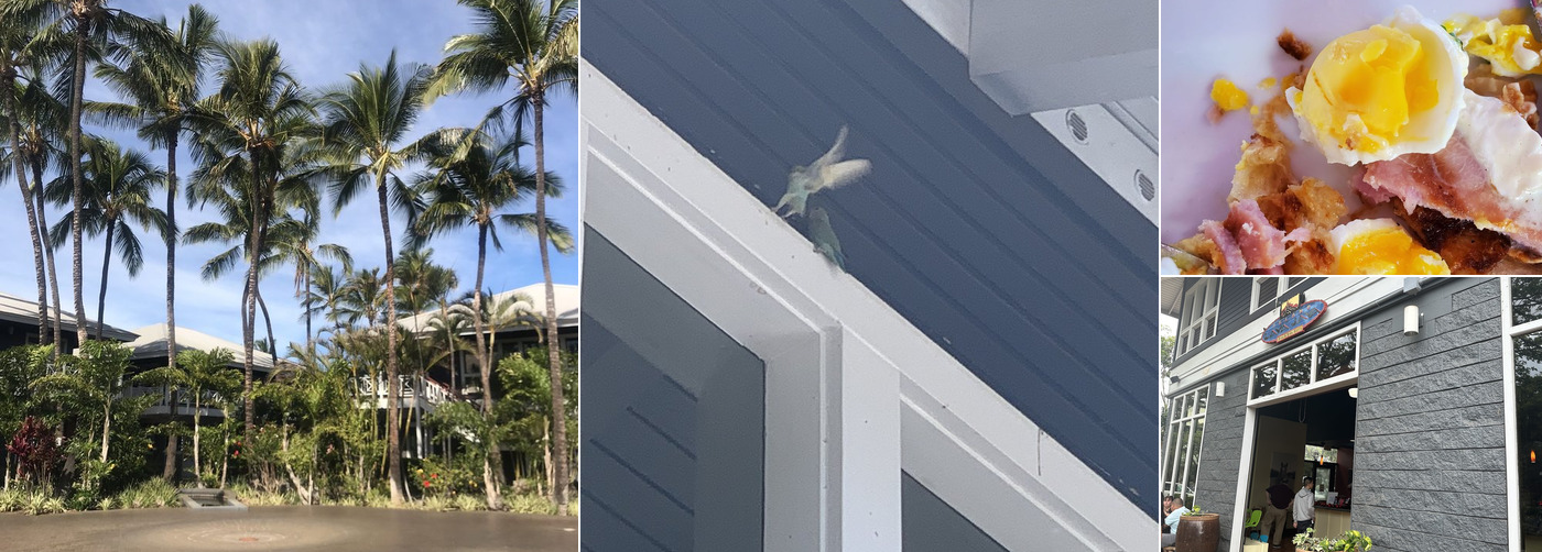 THE 15 BEST Restaurants in Waikoloa Village, HI - With Menus, Reviews ...