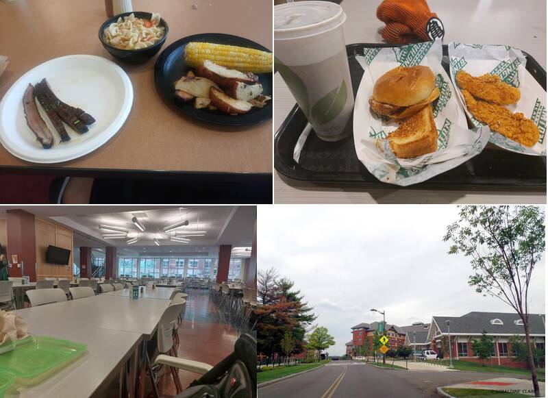 THE 15 BEST Restaurants in Vestal, NY - With Menus, Reviews, Photos ...