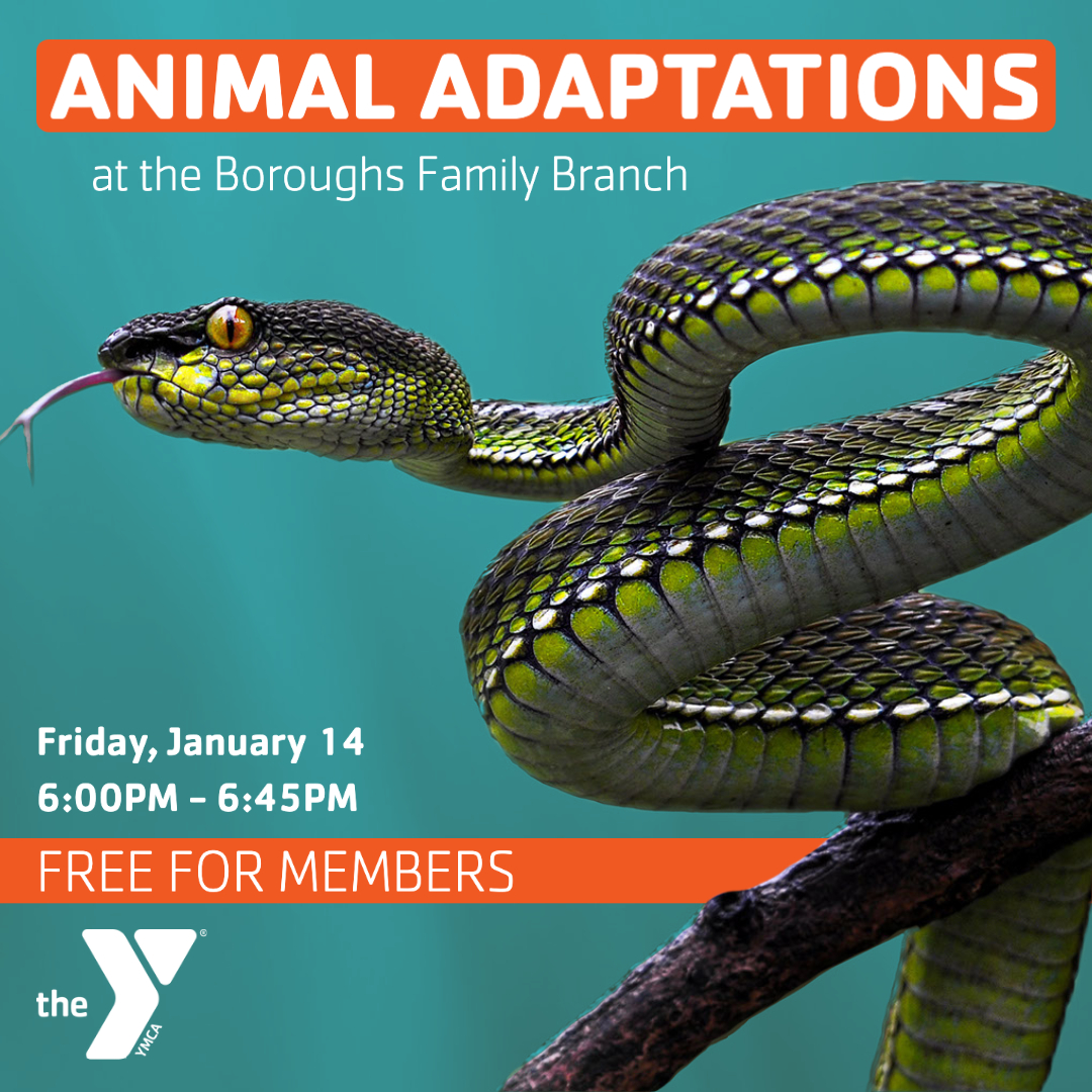 BOROUGHS FAMILY BRANCH YMCA - Westborough MA - Hours, Directions ...