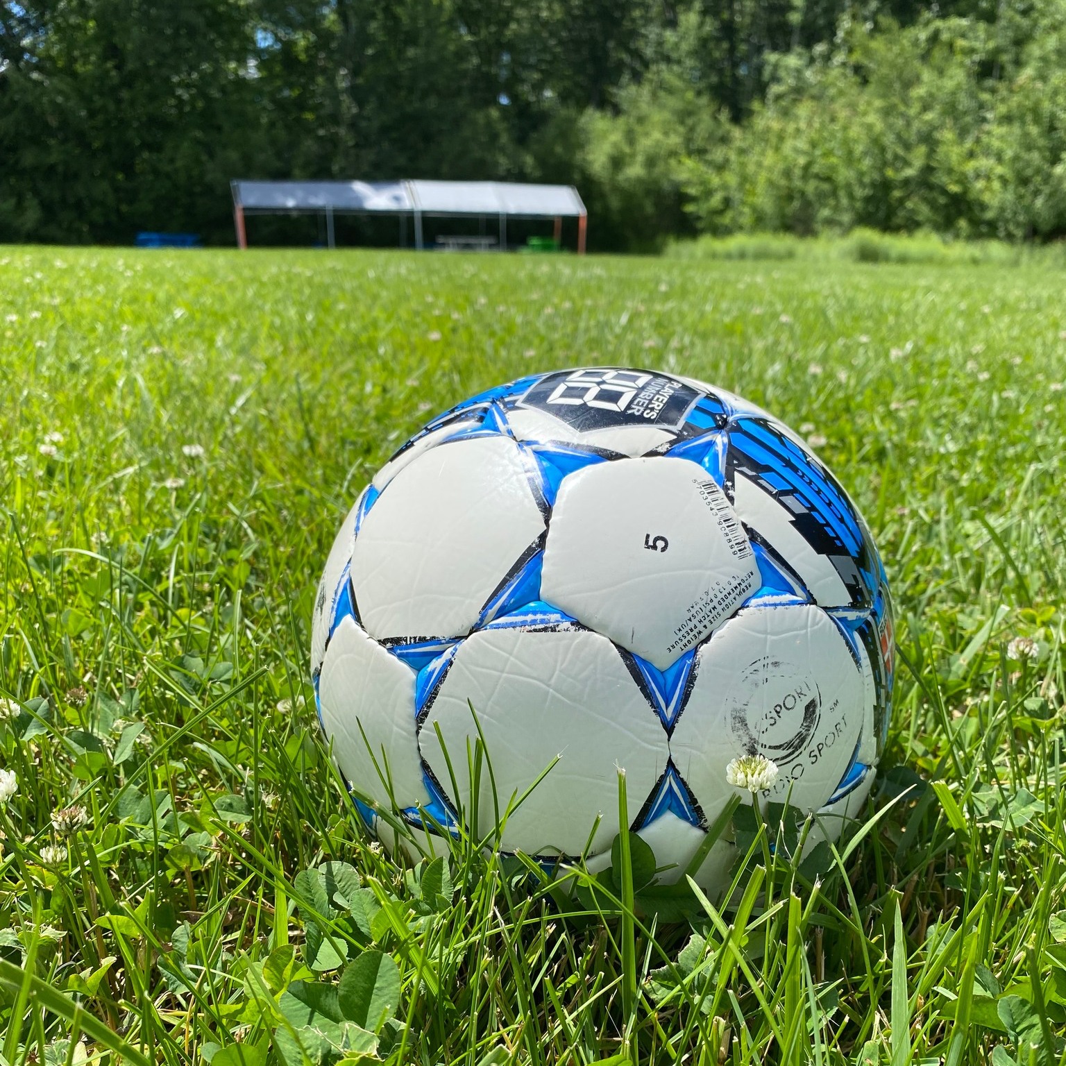 BOROUGHS FAMILY BRANCH YMCA - Westborough MA - Hours, Directions ...