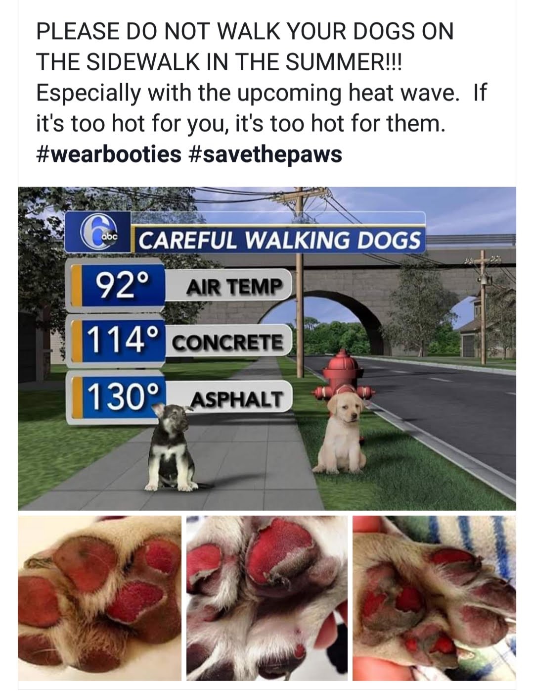 WOODHAVEN ANIMAL HOSPITAL - Woodhaven MI - Hours, Directions, Reviews ...