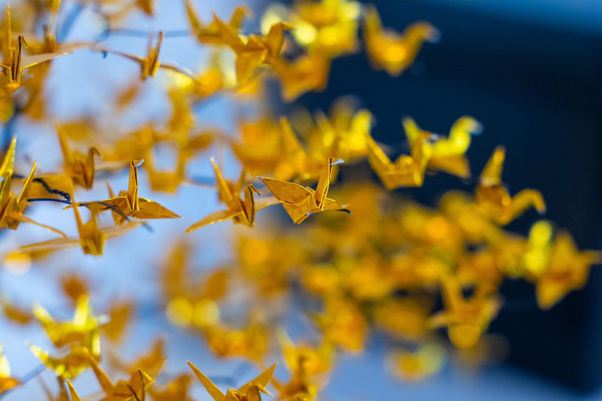 ALLINA HEALTH BUFFALO CLINIC - Buffalo MN - Hours, Directions, Reviews ...