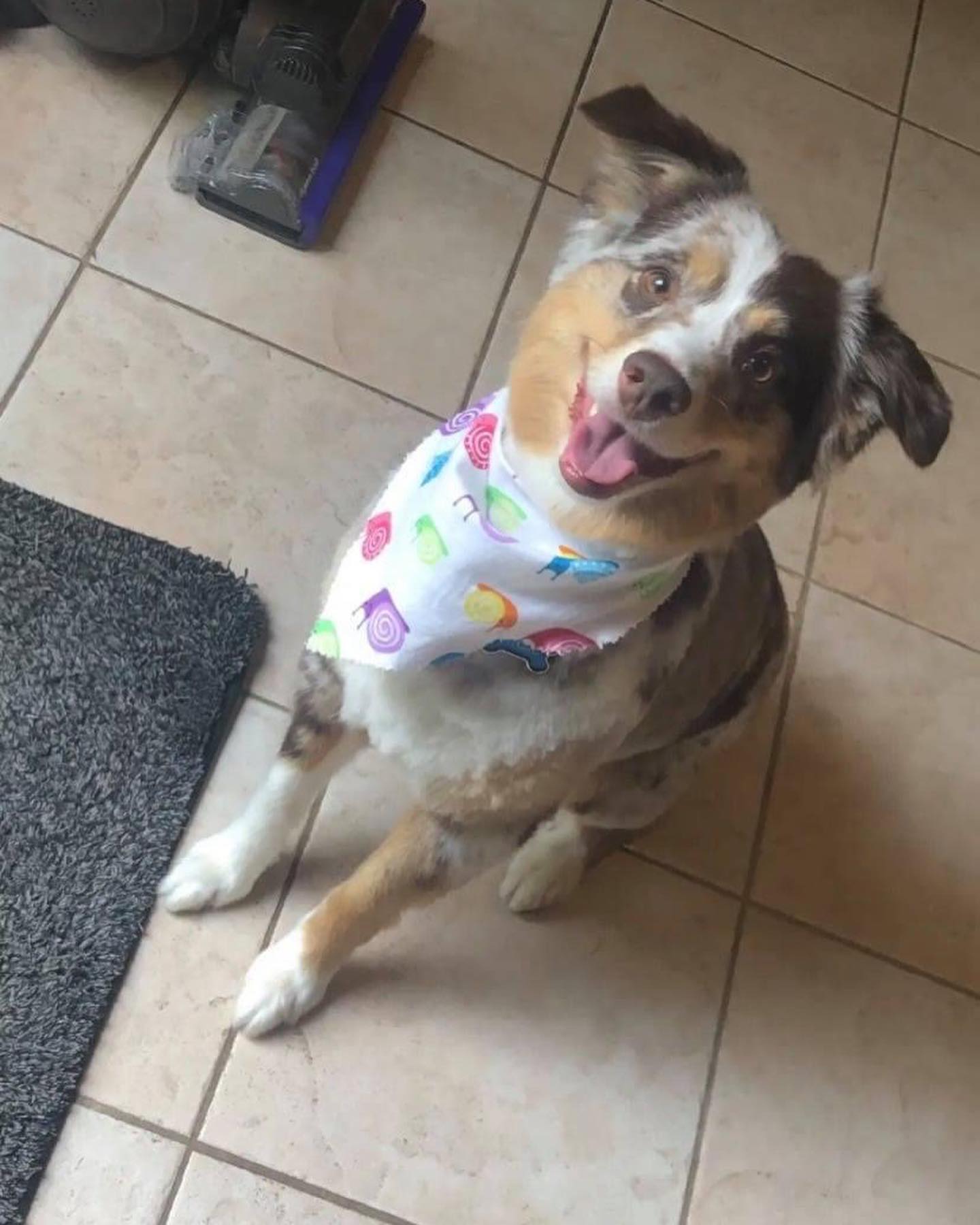 ACTIVE PT - ROCHESTER RAC - Rochester MN - Hours, Directions, Reviews ...