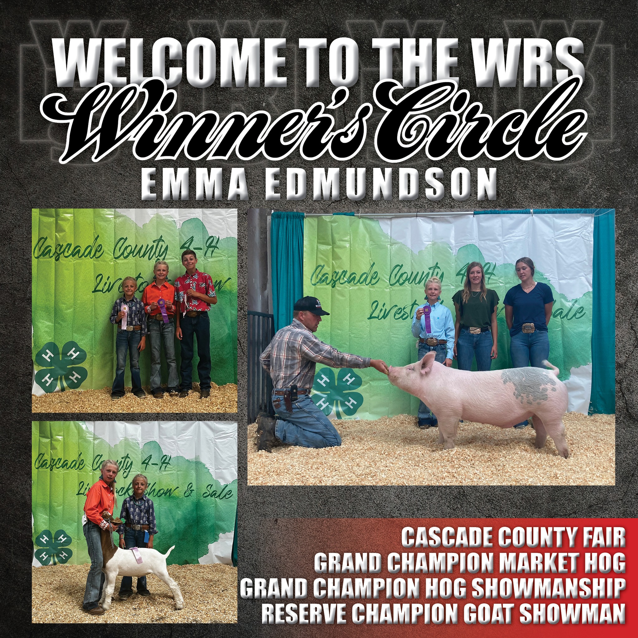 WESTERN RANCH SUPPLY - Billings MT - Hours, Directions, Reviews ...