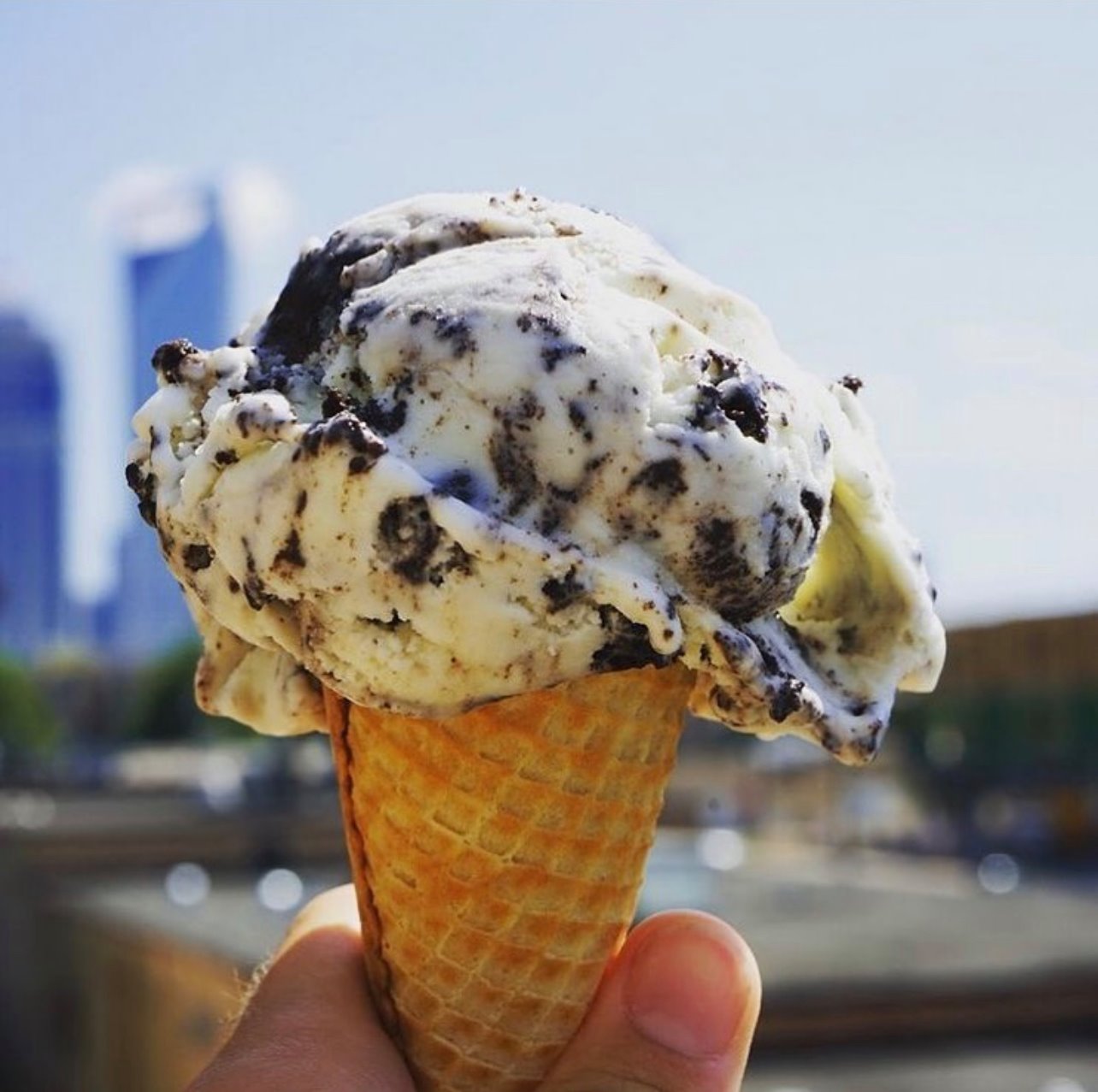 ALLY CHARLOTTE CENTER - Charlotte NC - Hours, Directions, Reviews ...