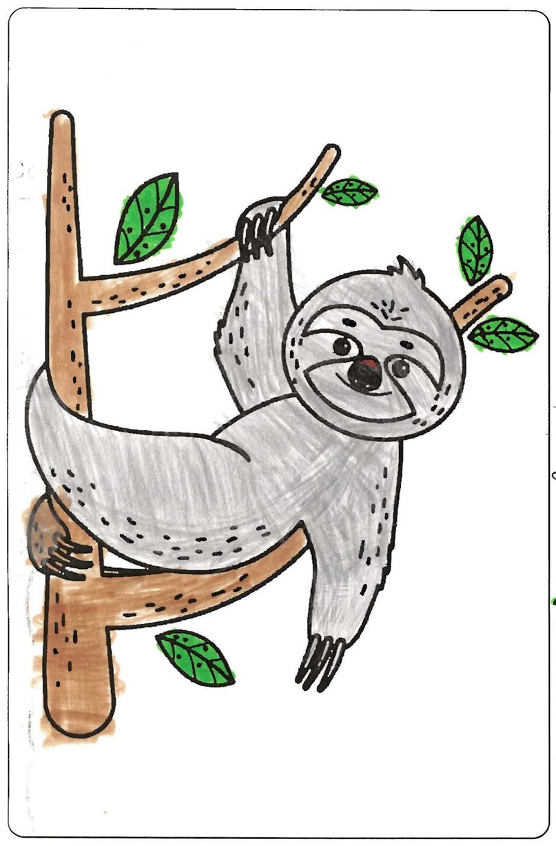 CONSOLIDATED TELCOM - Dickinson ND - Hours, Directions, Reviews ...