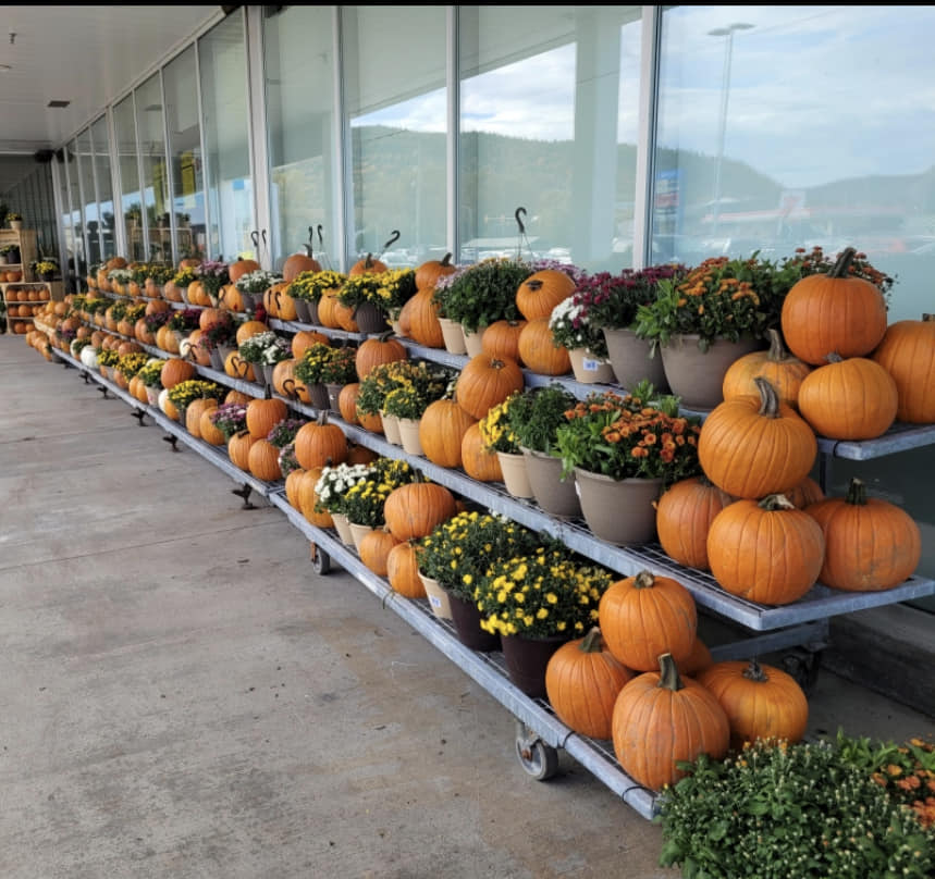 DOMINION MURPHY SQUARE - Corner Brook NL - Hours, Directions, Reviews ...