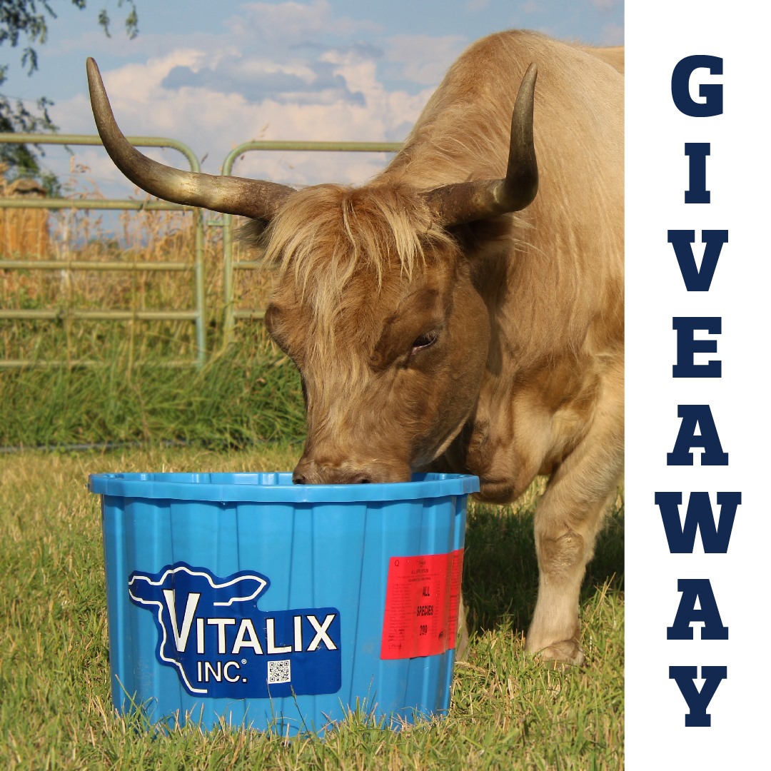 BIG R STORES - SANTA FE - Santa Fe NM - Hours, Directions, Reviews ...