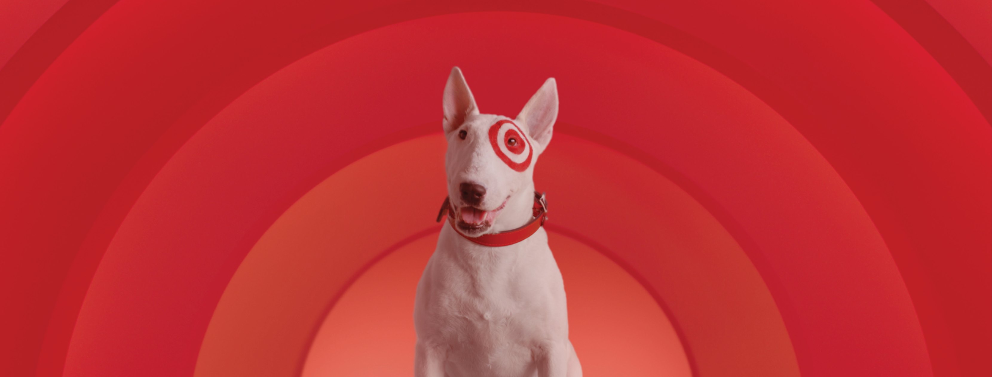 TARGET - 98 Veterans Memorial Hwy, Commack NY - Hours, Directions ...