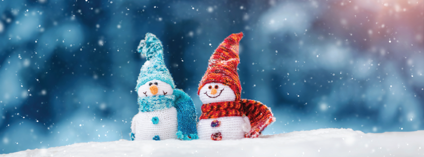 COSTCO WHOLESALE - 3250 Vernon Blvd, Queens NY - Hours, Directions ...