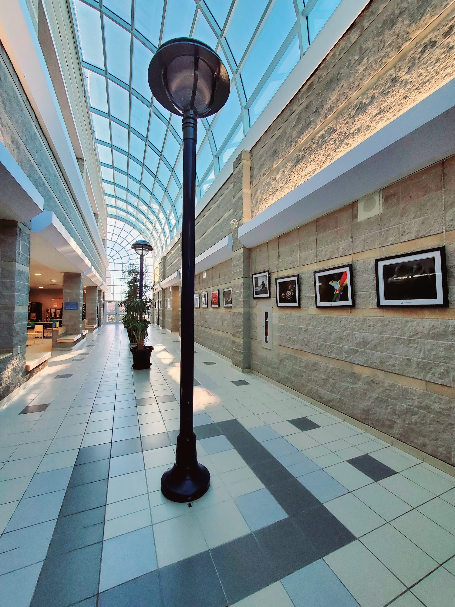 MCLEAN COMMUNITY CENTRE - Ajax ON - Hours, Directions, Reviews - Loc8NearMe