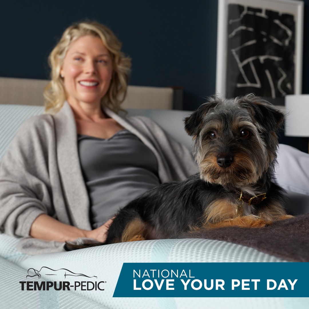 ASHLEY STORE - 2850 Broad St, Sumter SC - Hours, Directions, Reviews ...