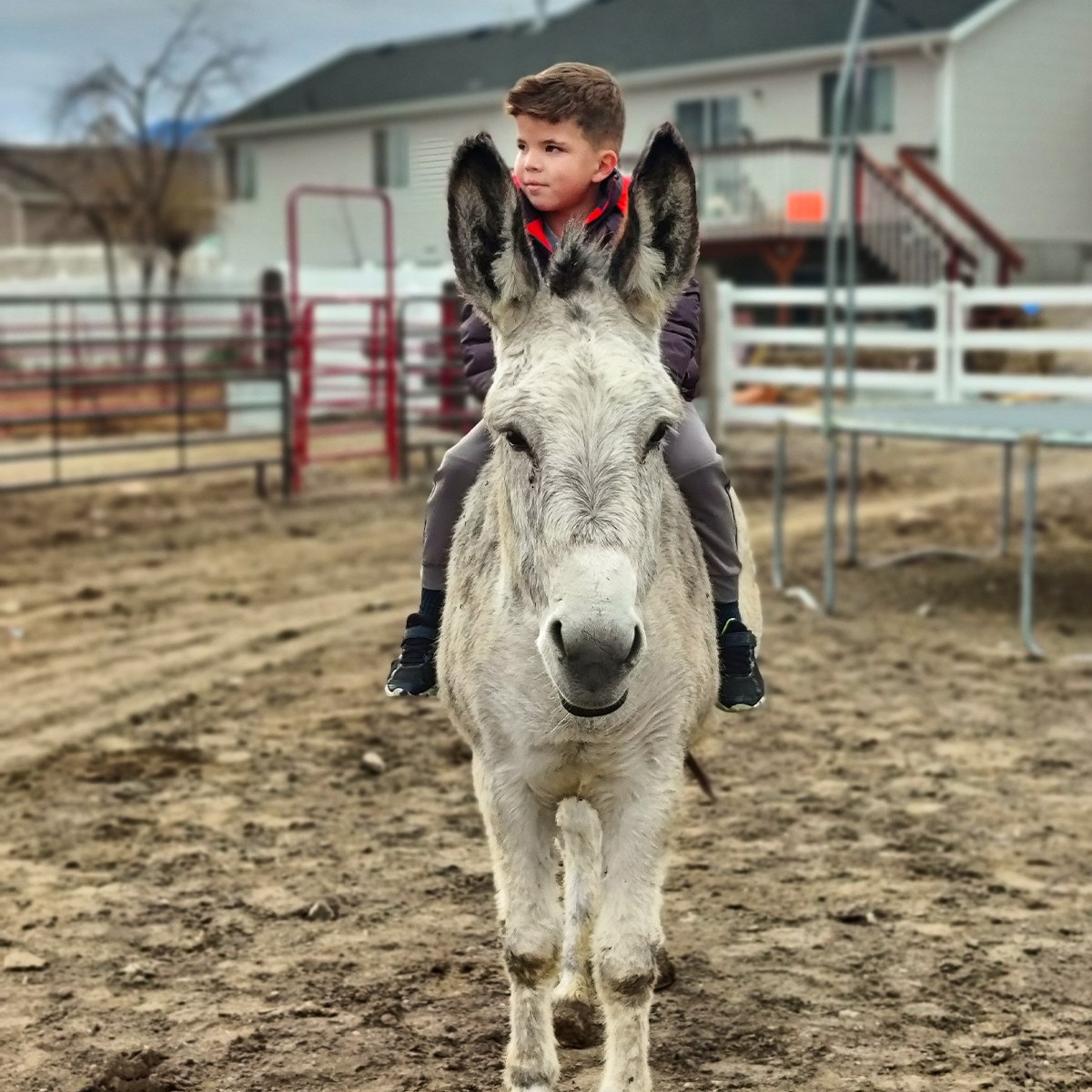 IFA COUNTRY STORES - Ogden UT - Hours, Directions, Reviews - Loc8NearMe