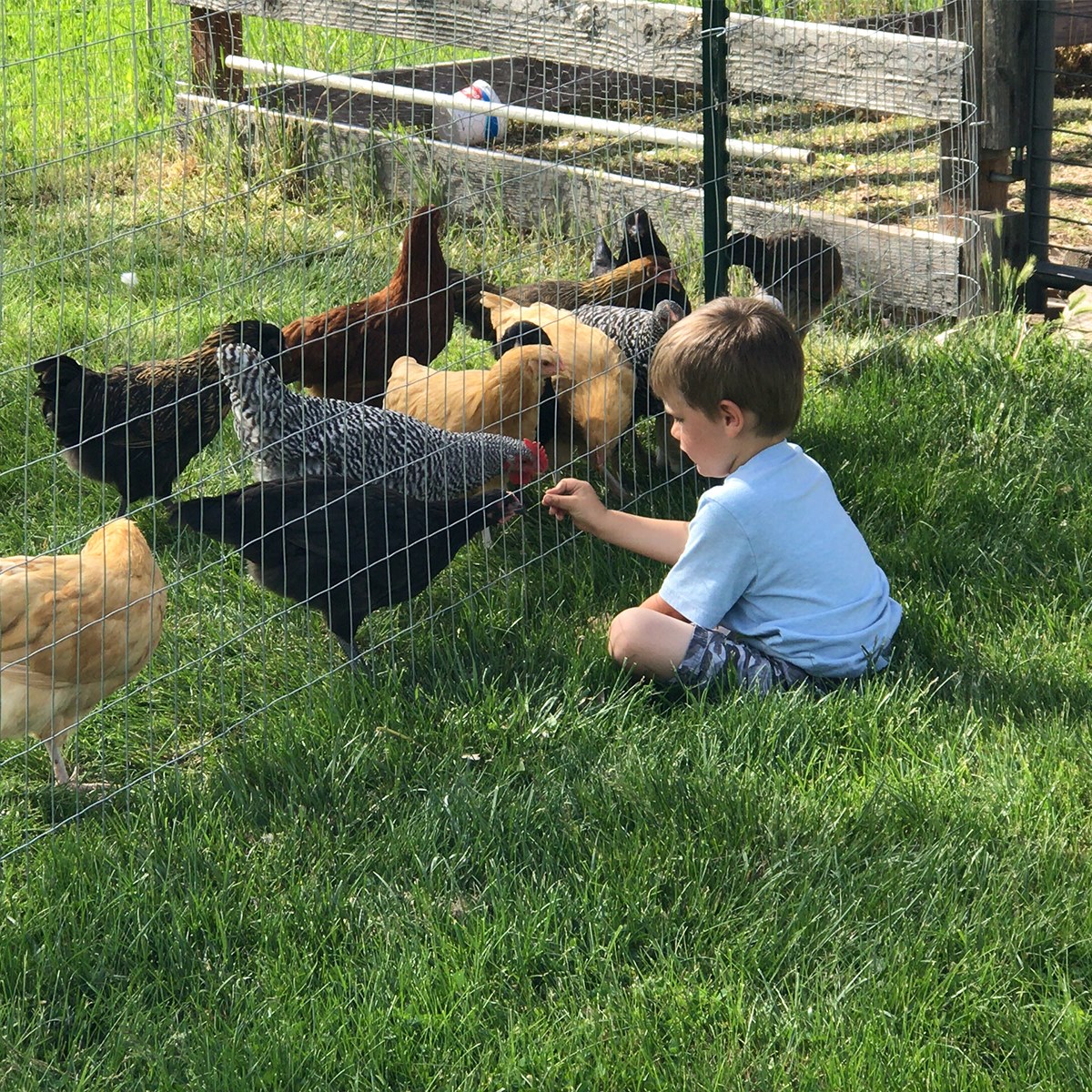 IFA COUNTRY STORES - Ogden UT - Hours, Directions, Reviews - Loc8NearMe