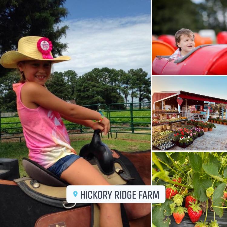 HICKORY RIDGE FARM - Chesapeake VA - Hours, Directions, Reviews ...